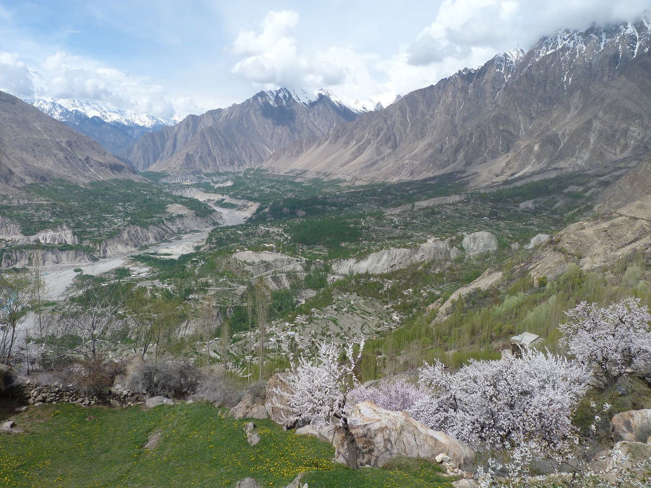 Hunza Apricot Blossom: Explore Paradise in Hunza Valley